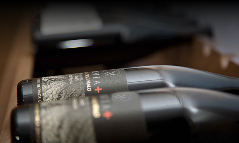 botellas – MGWines Group | Singular Wineries and Wines